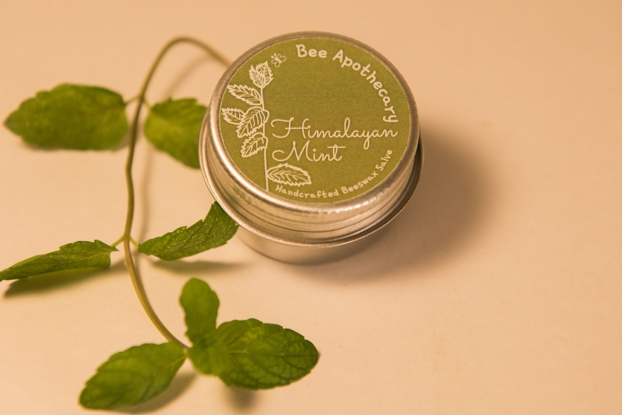 Himalayan Mint Beeswax Salve Online - Tenacious Bee Collective