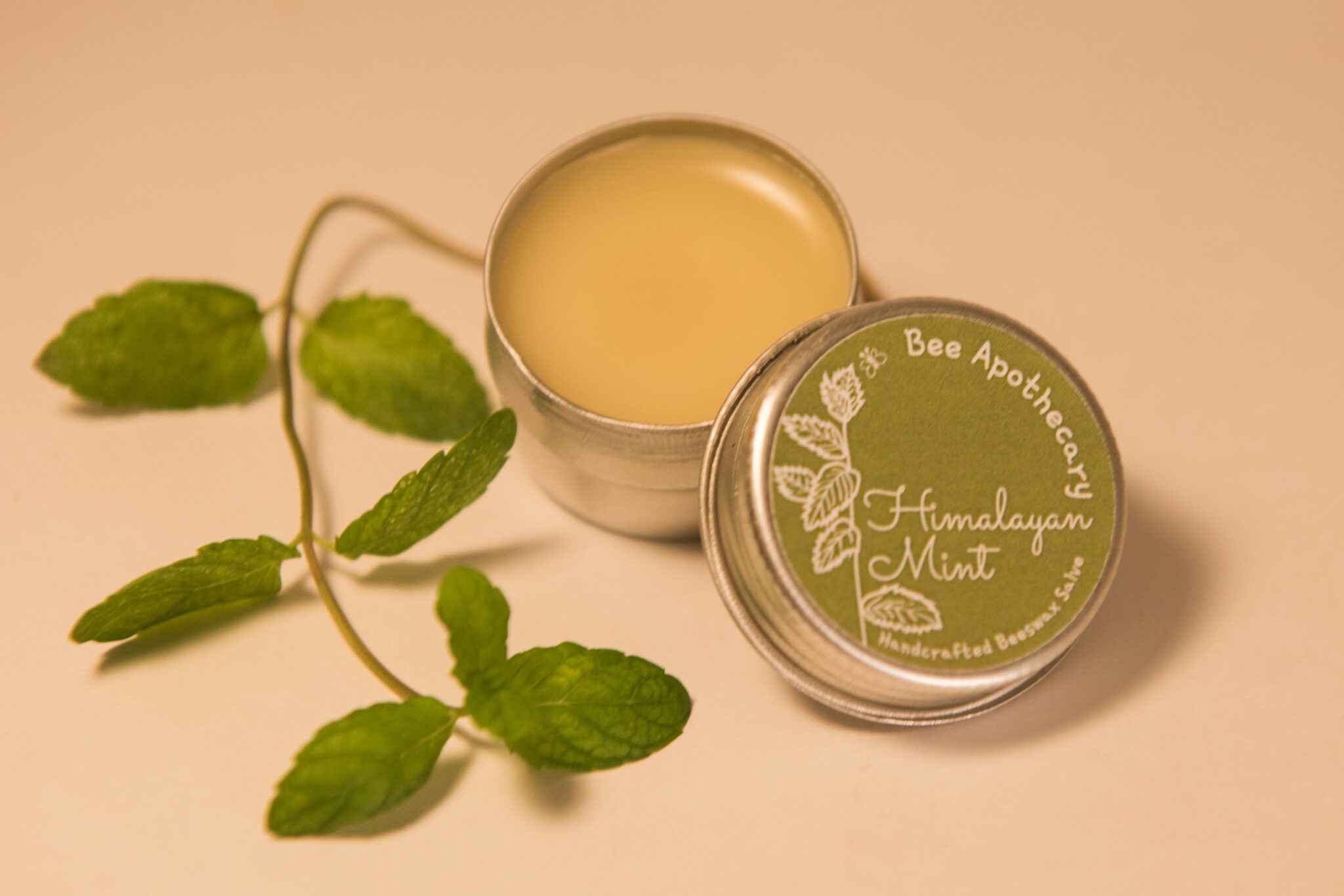 Himalayan Mint Beeswax Salve Online - Tenacious Bee Collective